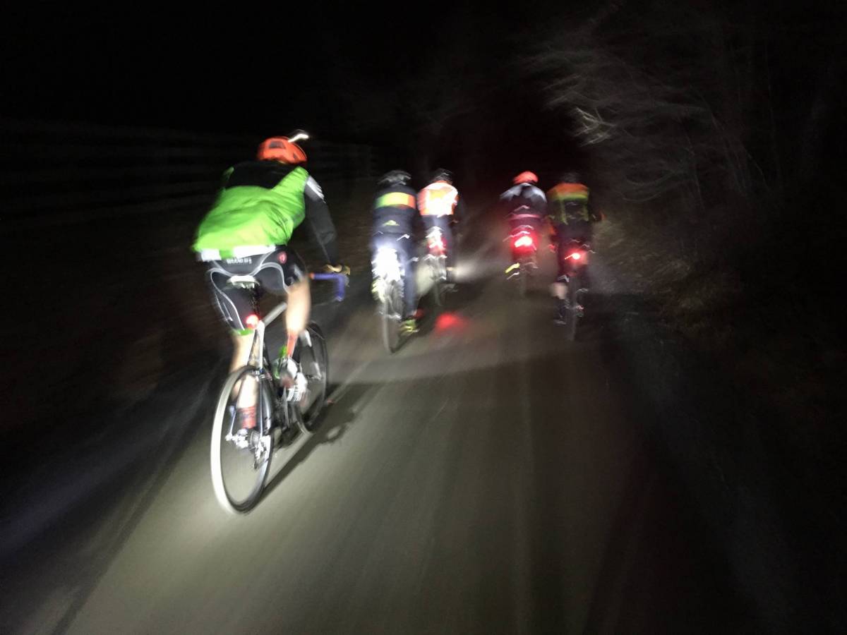 A Year In The Life of A Donkey – Rodeo Adventure Labs, LLC