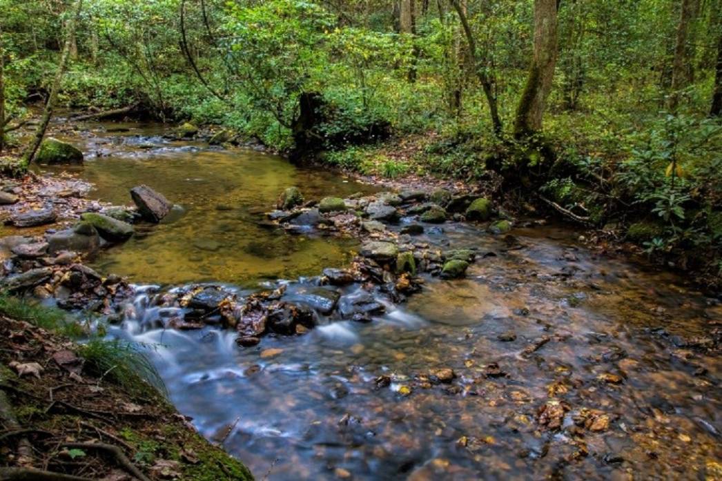 Georgia Rodeo Rally – Duncan Ridge Shindig – Rodeo Adventure Labs, LLC