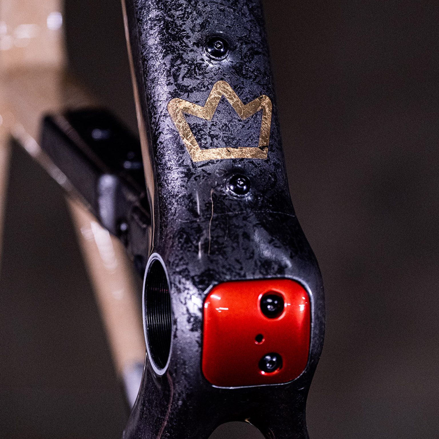 Rodeo Custom Finish Roundup – Rodeo Adventure Labs, LLC