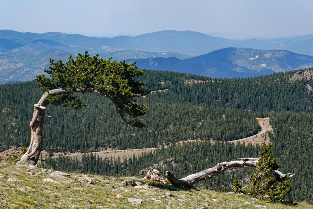 The Rodeo Journal – Rodeo Adventure Labs, LLC